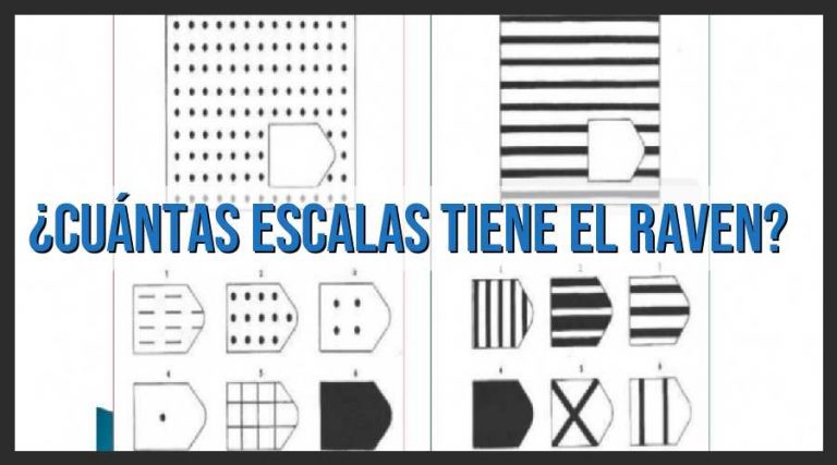 Descubre las escalas del Raven: todo lo que necesitas saber